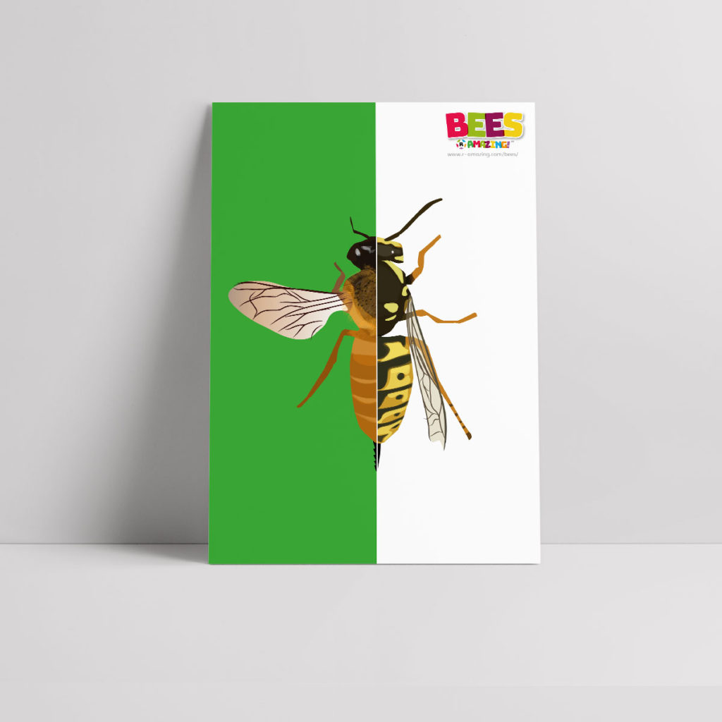Bees vs Wasps Poster | R&Q