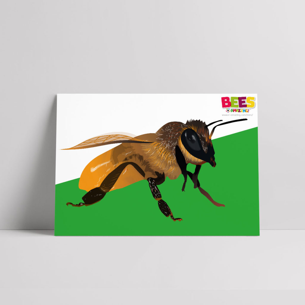 Buzzing Bee Poster | R&Q