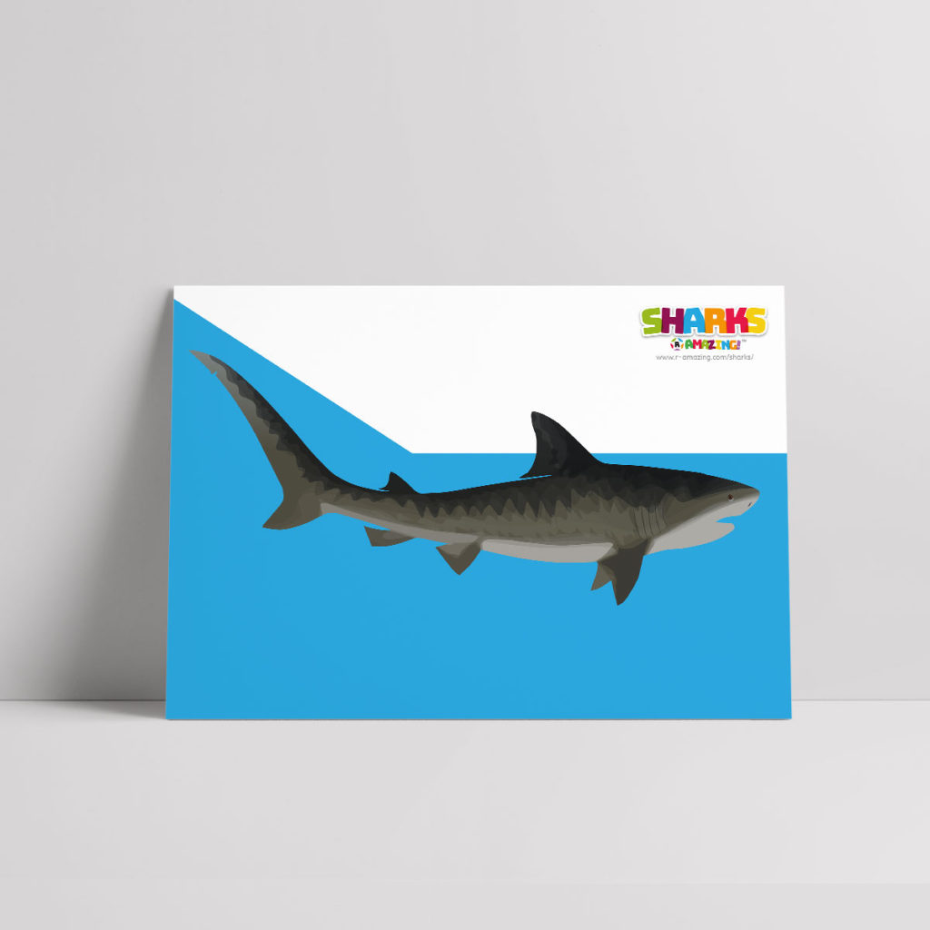Friendly Shark Poster | R&Q