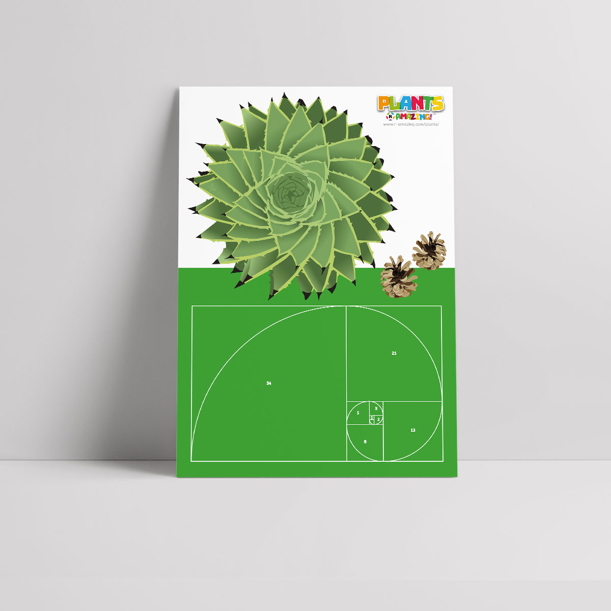  Golden Ratio In Plants Poster R Q